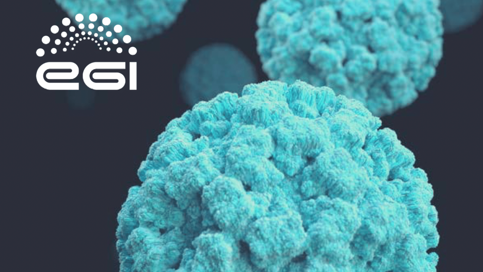 EGI support for COVID-19 research - EGI