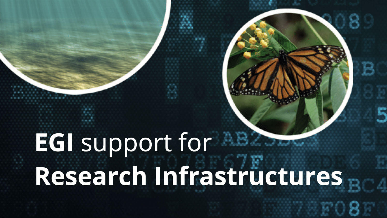Publication - EGI support for Research Infrastructures - EGI