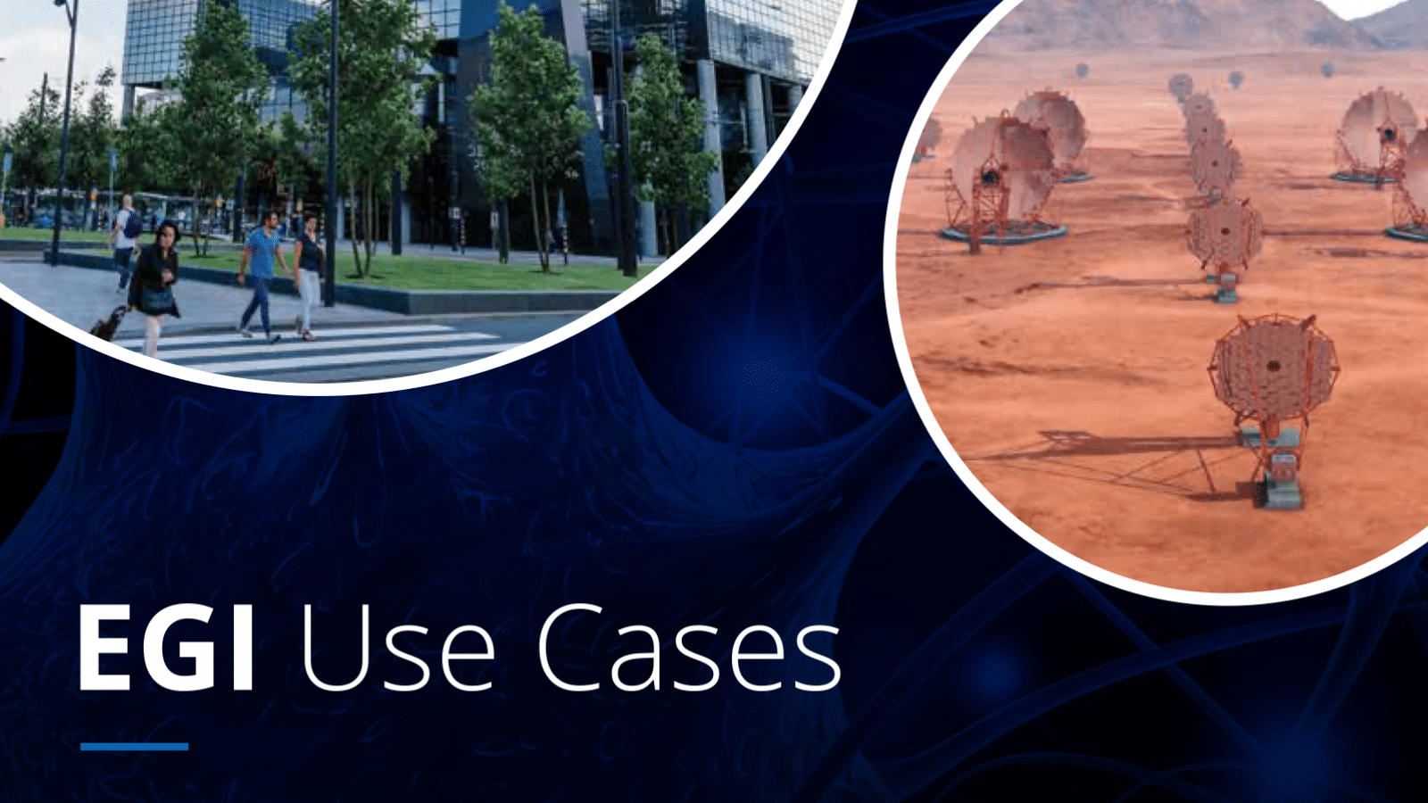 Publication - EGI Use Cases - EGI