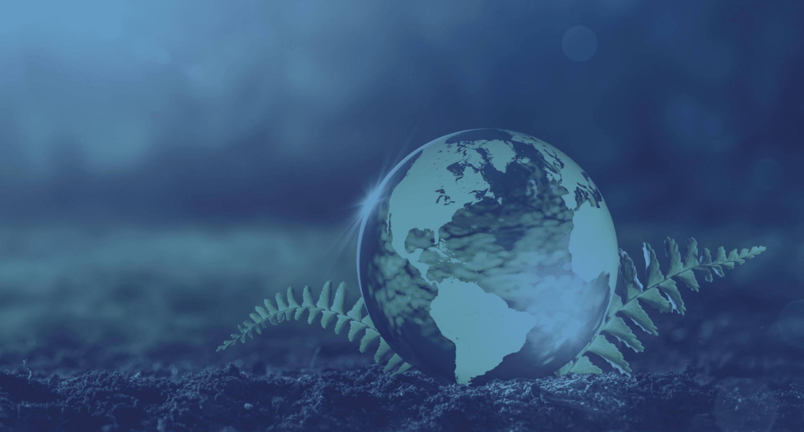 EGI services will power the ENVRI-hub - EGI