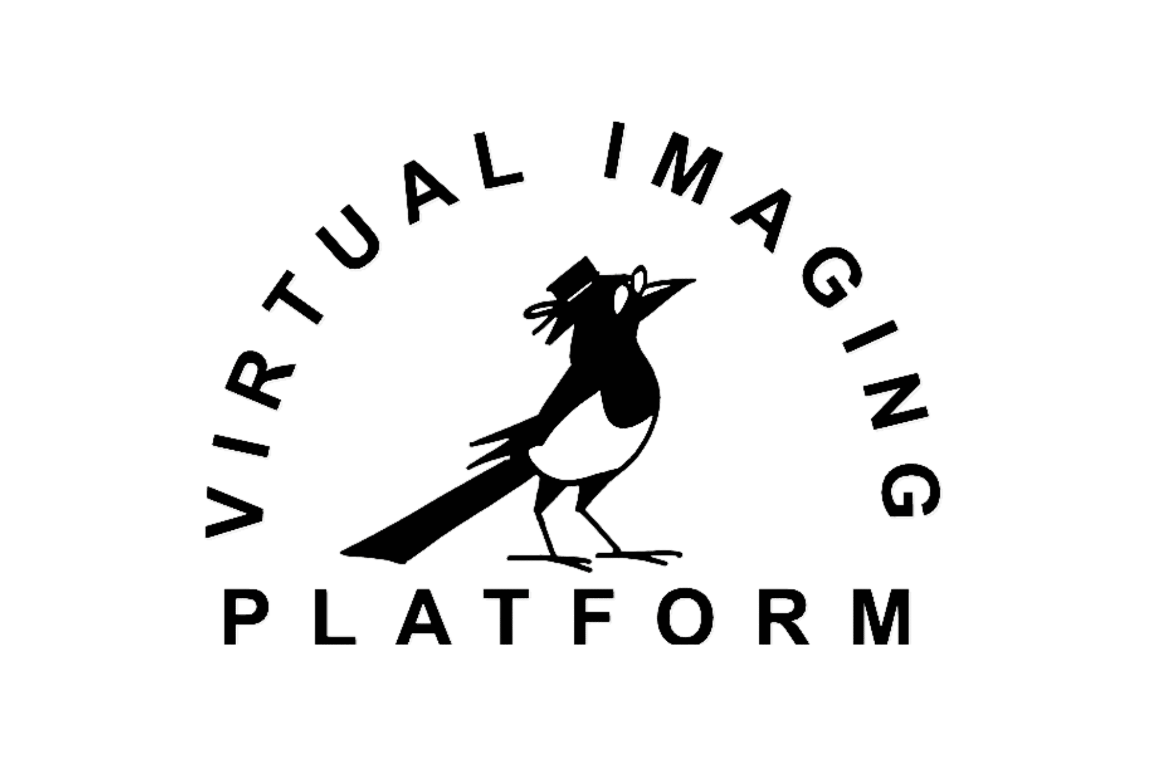 A new release of the VIP platform - EGI