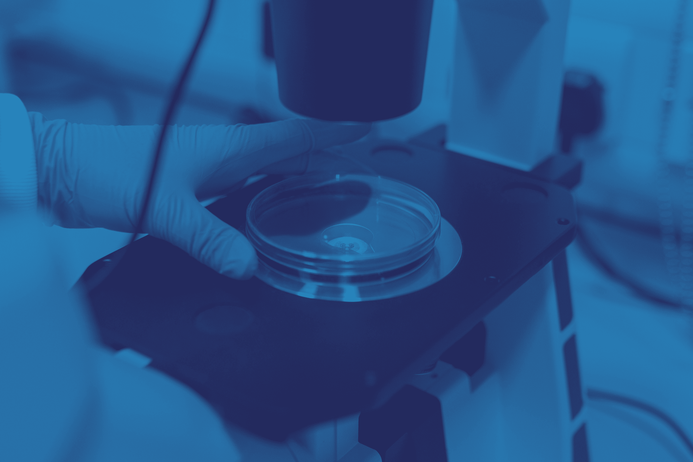 EGI and Euro-BioImaging ERIC Sign SLA to Support Imaging Research - EGI