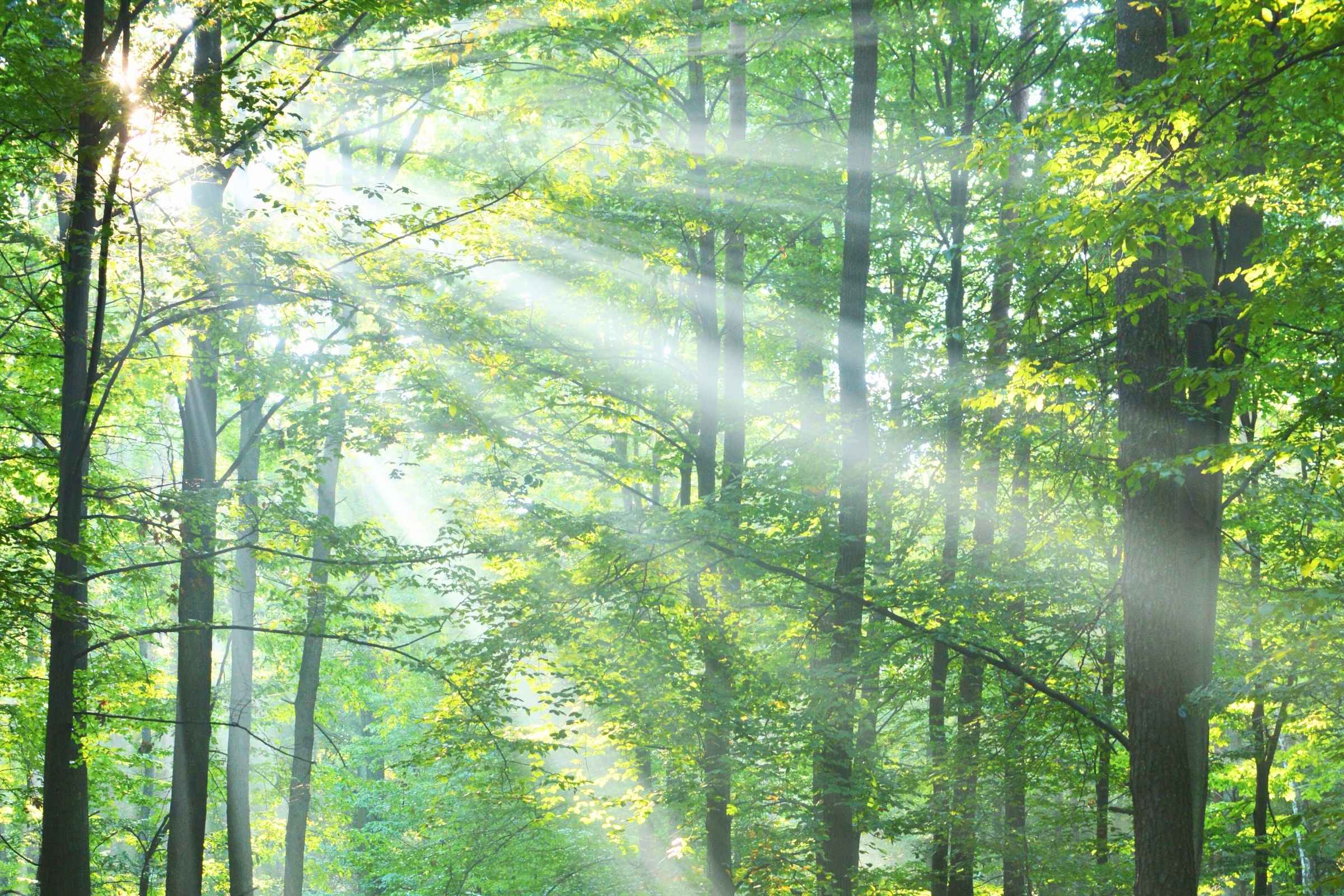 EGI Foundation Co-Authors the Crete Declaration, Uniting European ...